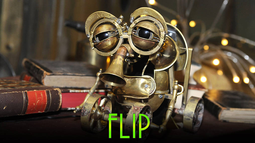 Fakta: Mer Labyrint – Flip | SVT Play