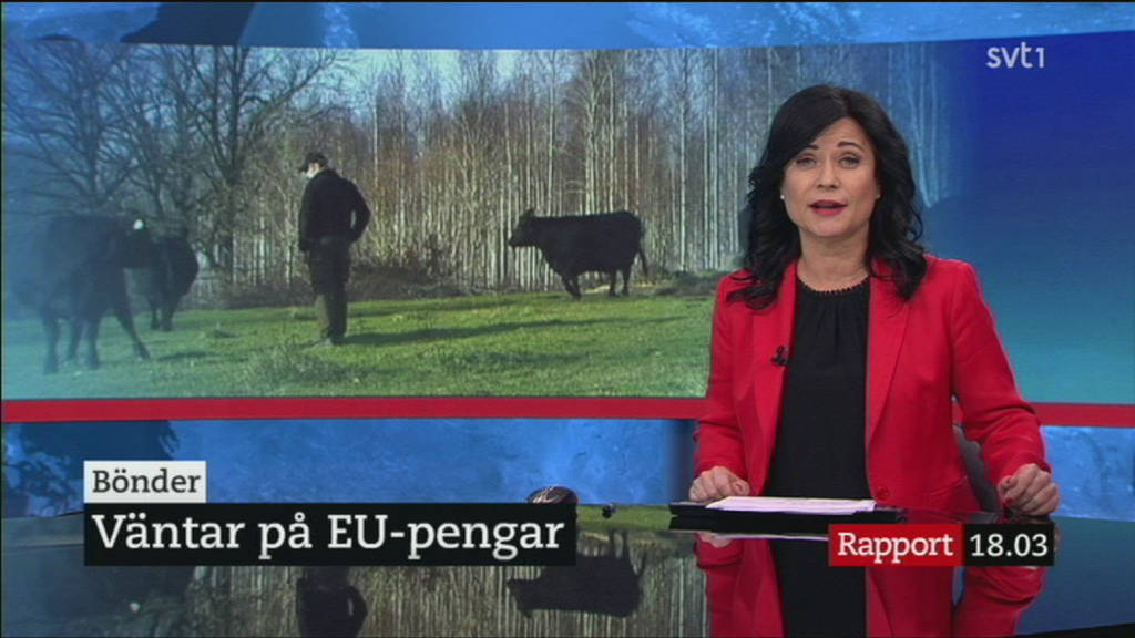 Rapport – Avsnitt 48 | SVT Play