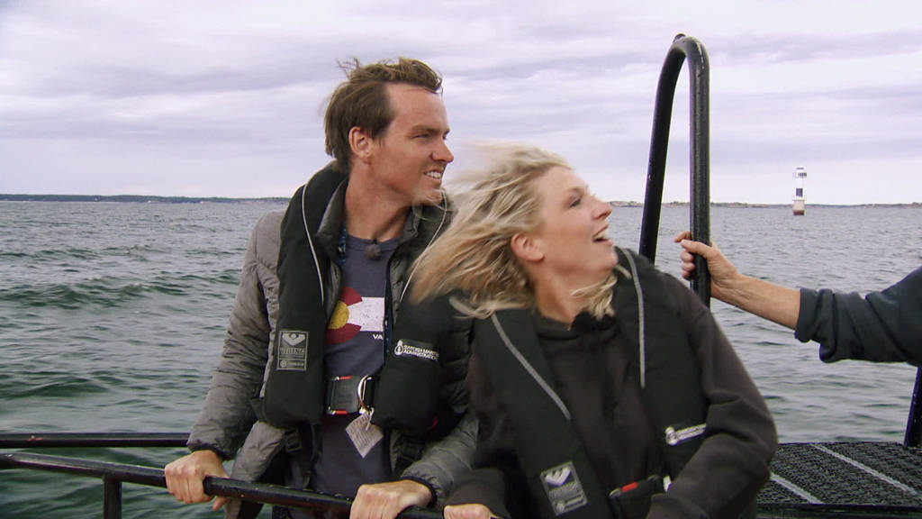 Allt för Sverige – Avsnitt 7 | SVT Play