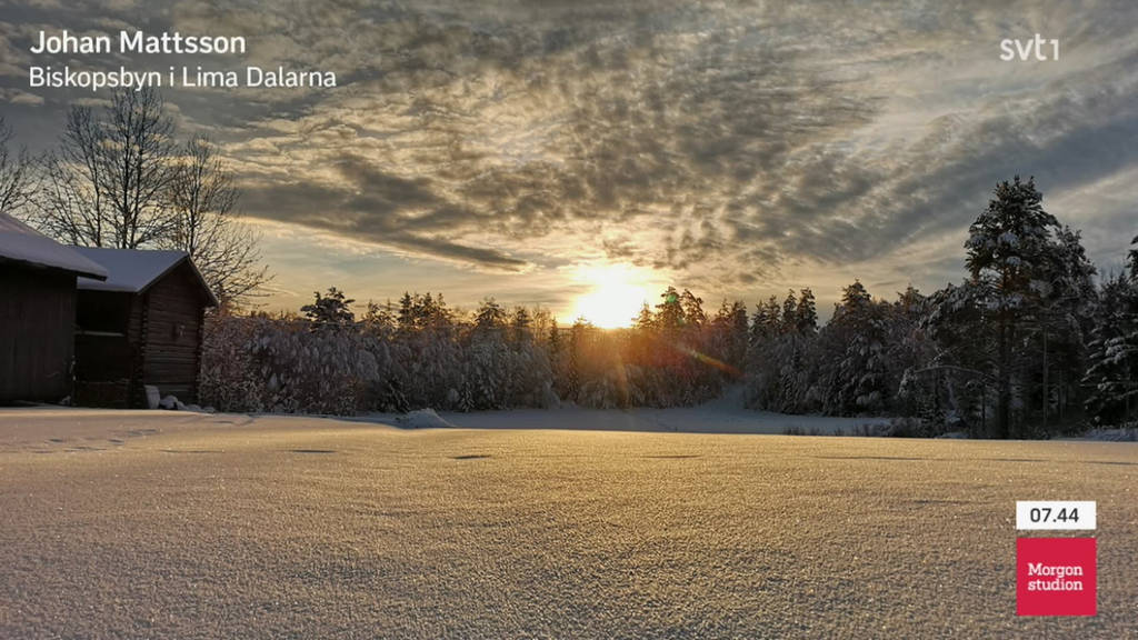 Morgonstudion – Avsnitt 259 | SVT Play