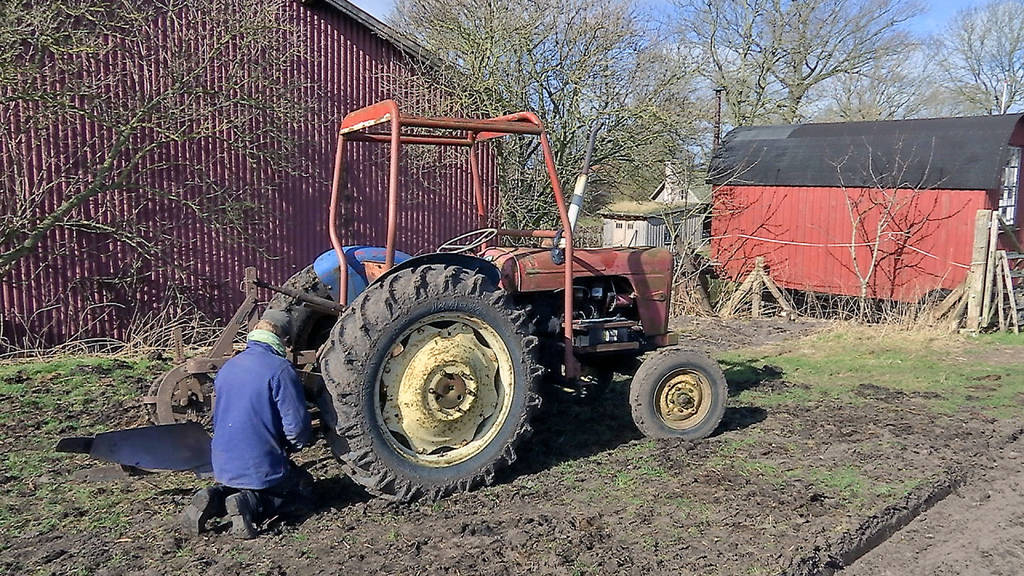 Hundra procent bonde – Avsnitt 4 | SVT Play