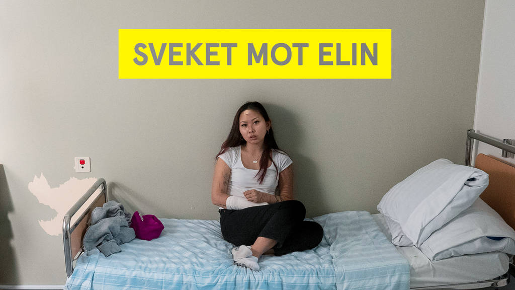 Uppdrag granskning – Sveket mot Elin | SVT Play