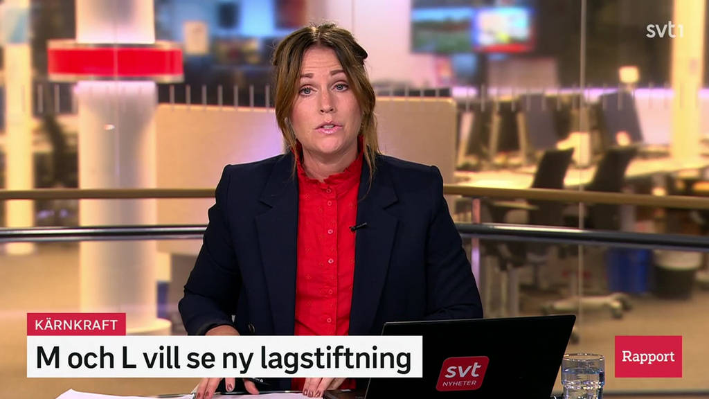 Rapport – Avsnitt 208 | SVT Play