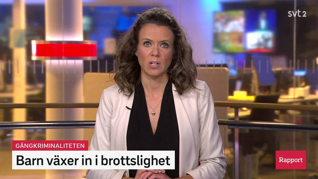 Rapport – Avsnitt 250 | SVT Play