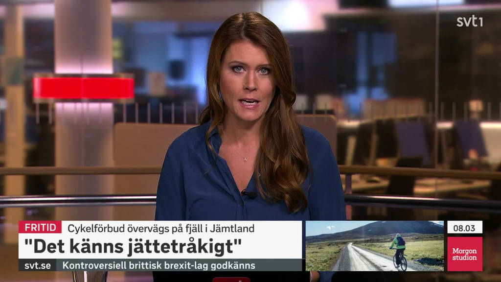 Rapport – Avsnitt 195 | SVT Play