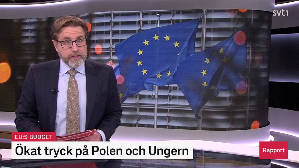 Rapport – Avsnitt 246 | SVT Play