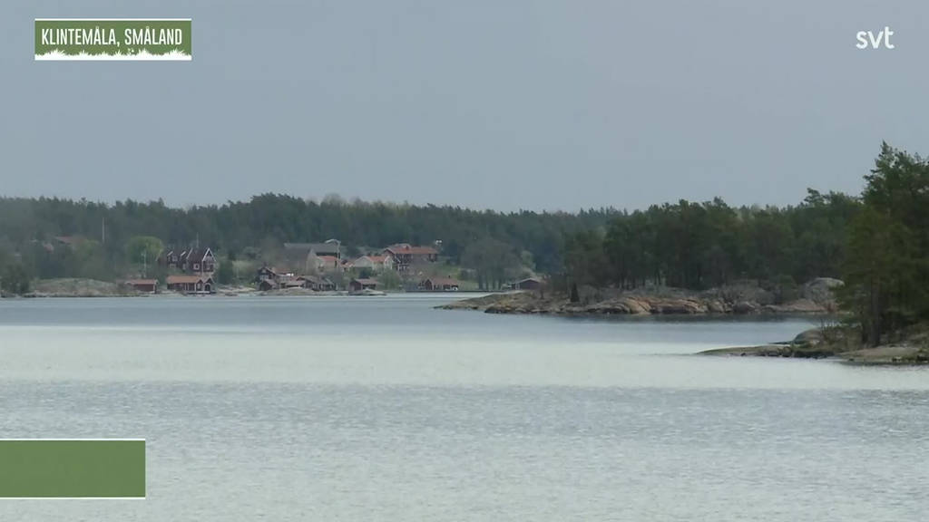 Test – Testbild 2 - 2021 | SVT Play