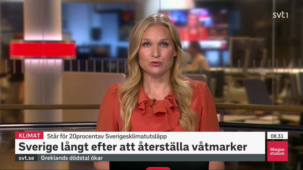 Rapport – Avsnitt 198 | SVT Play