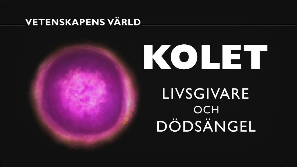 Kolet: Livgivare och dödsängel | SVT Play