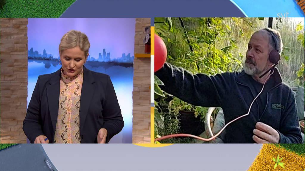 Landet runt – Avsnitt 6 | SVT Play