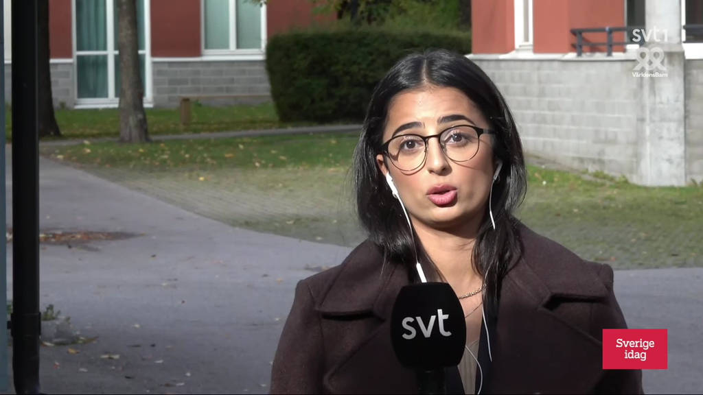 Sverige idag – Avsnitt 35 | SVT Play