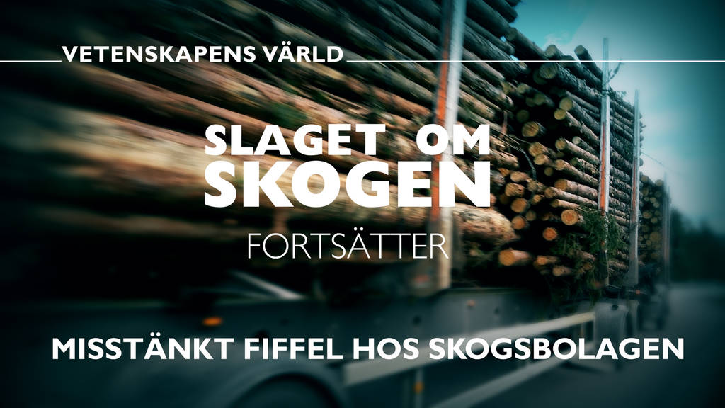 Vetenskapens värld: Slaget om skogen – 1. Misstänkt fiffel hos ...