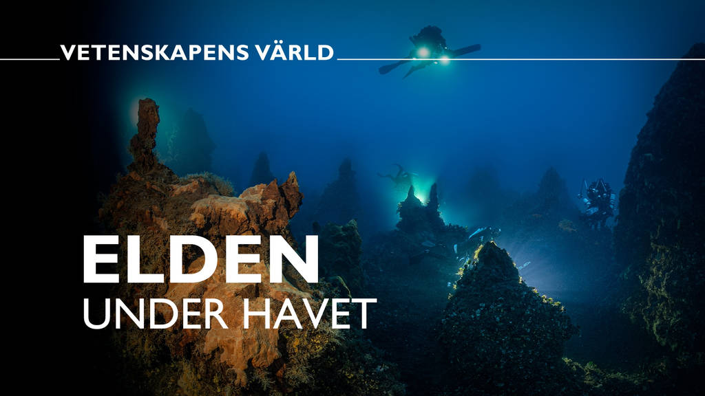 Elden under havet | SVT Play