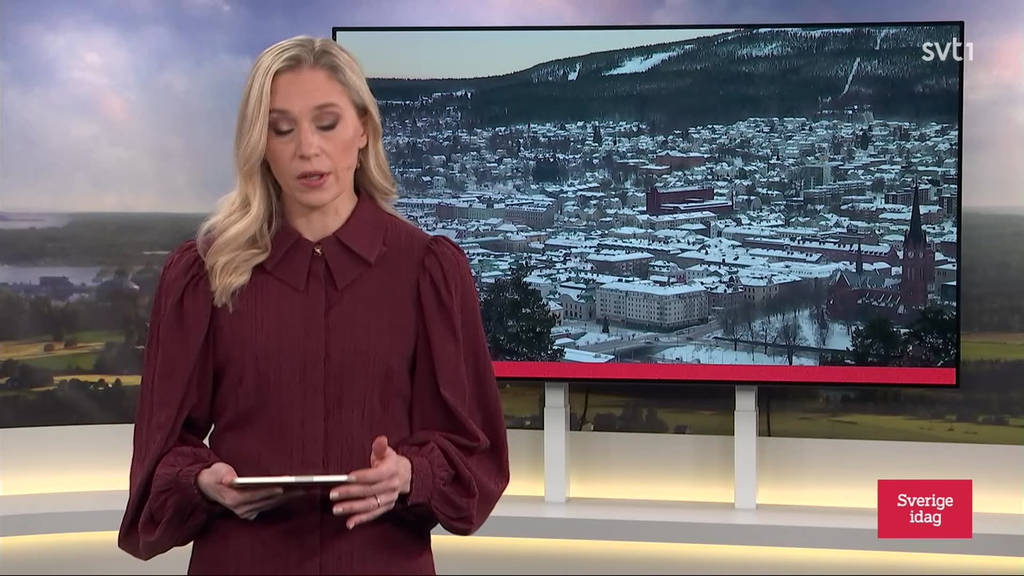 Sverige idag – Avsnitt 20 | SVT Play