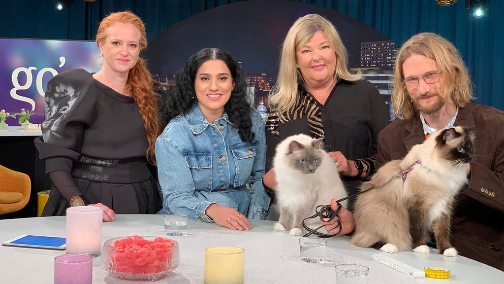 Go'kväll – Komikern Marcus Berggren och katter | SVT Play