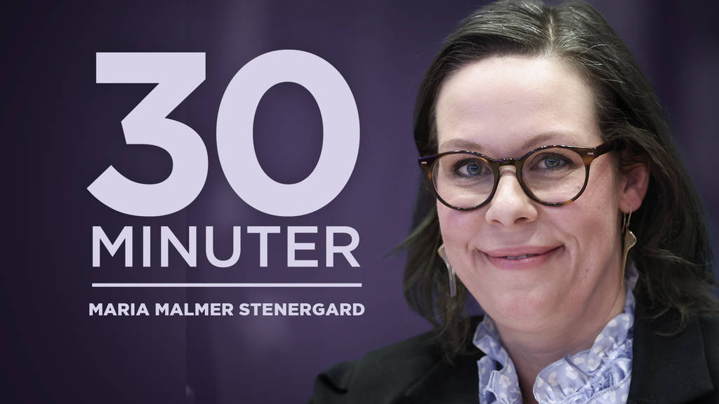 30 minuter – Maria Malmer Stenergard (M) | SVT Play