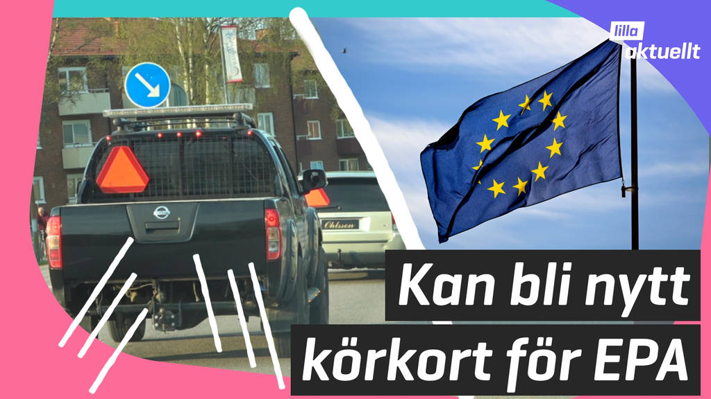 Lilla Aktuellt – Kan bli nytt EPA-körkort | SVT Play