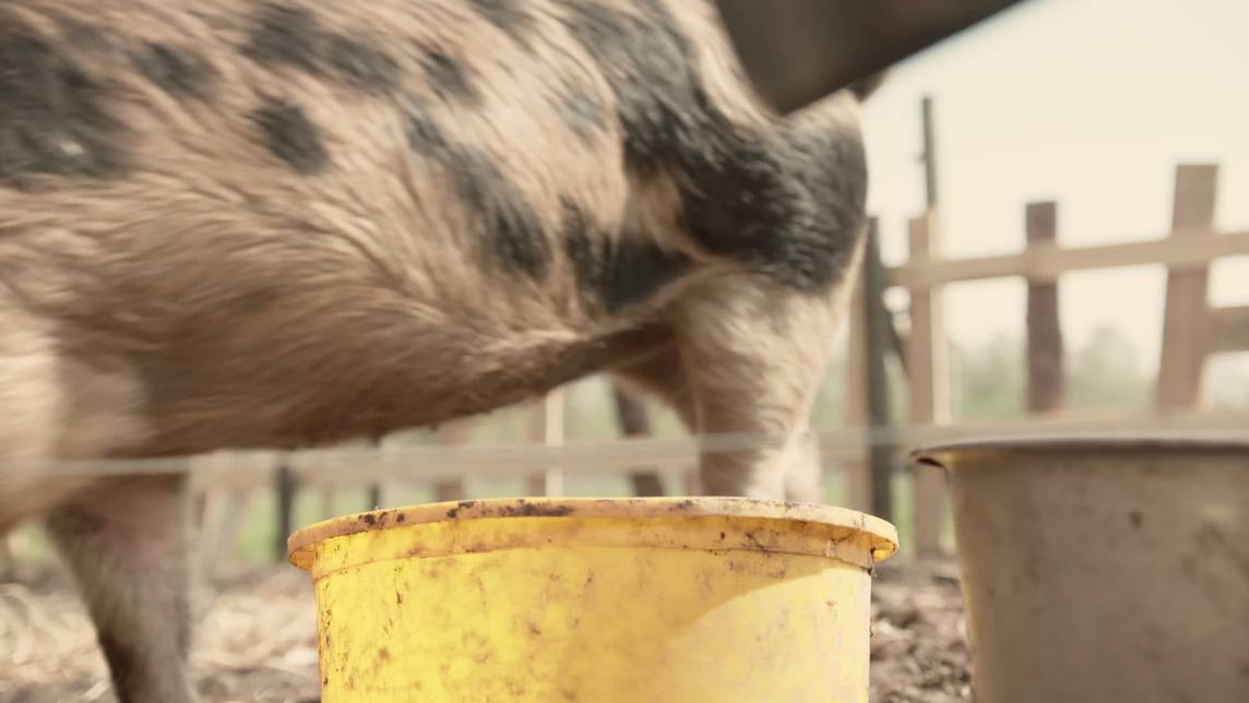 Testbild – Avsnitt 7 | SVT Play