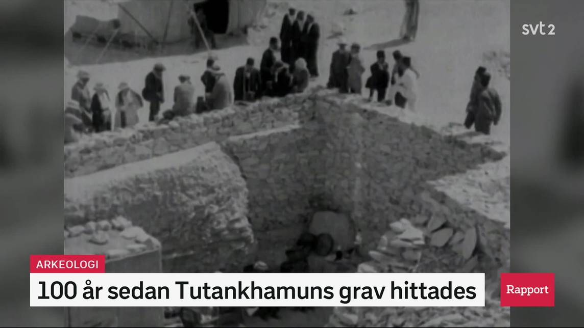 Rapport – Avsnitt 308 | SVT Play