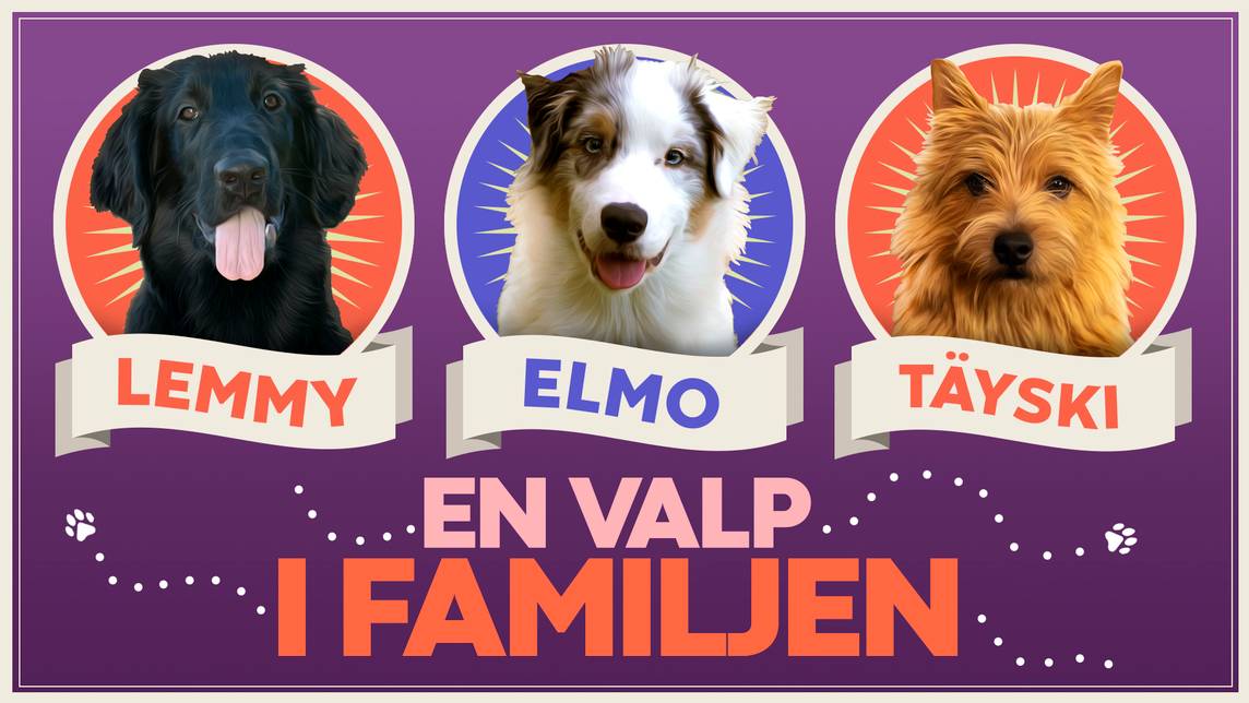 En valp i familjen | SVT Play