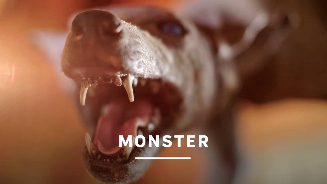 Monster | SVT Play