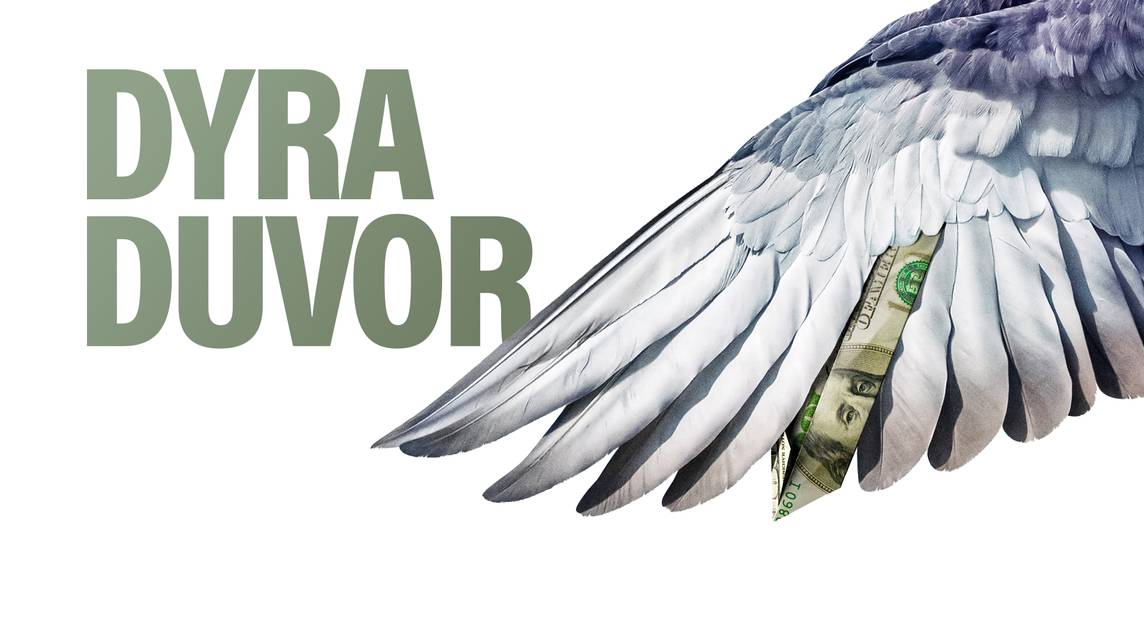 Dyra duvor | SVT Play