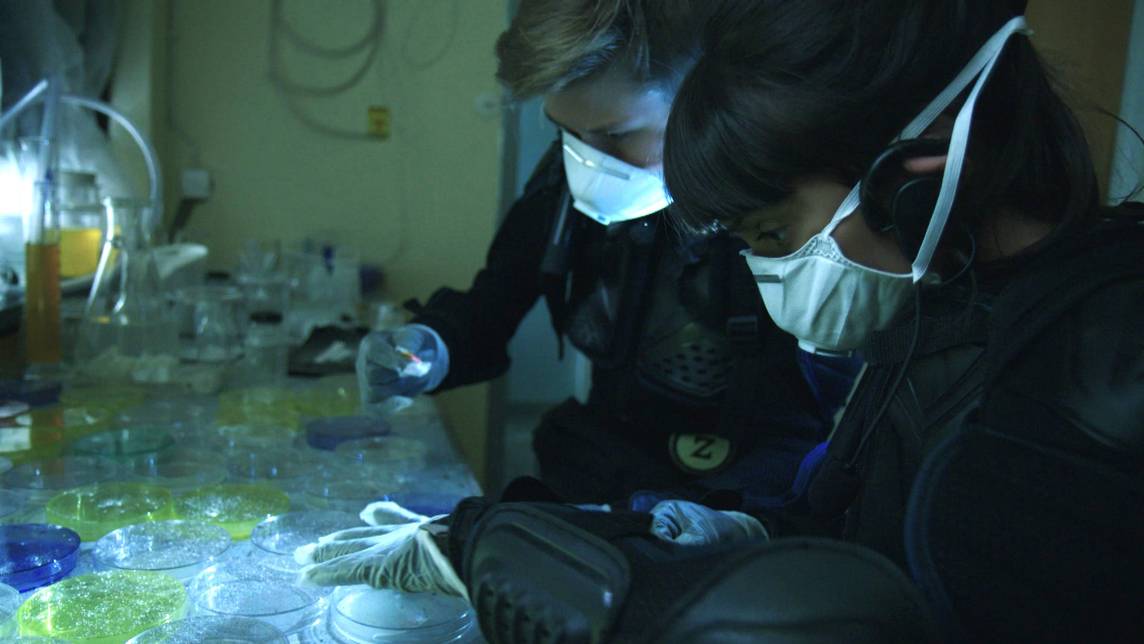 Zombie – Avsnitt 7 | SVT Play