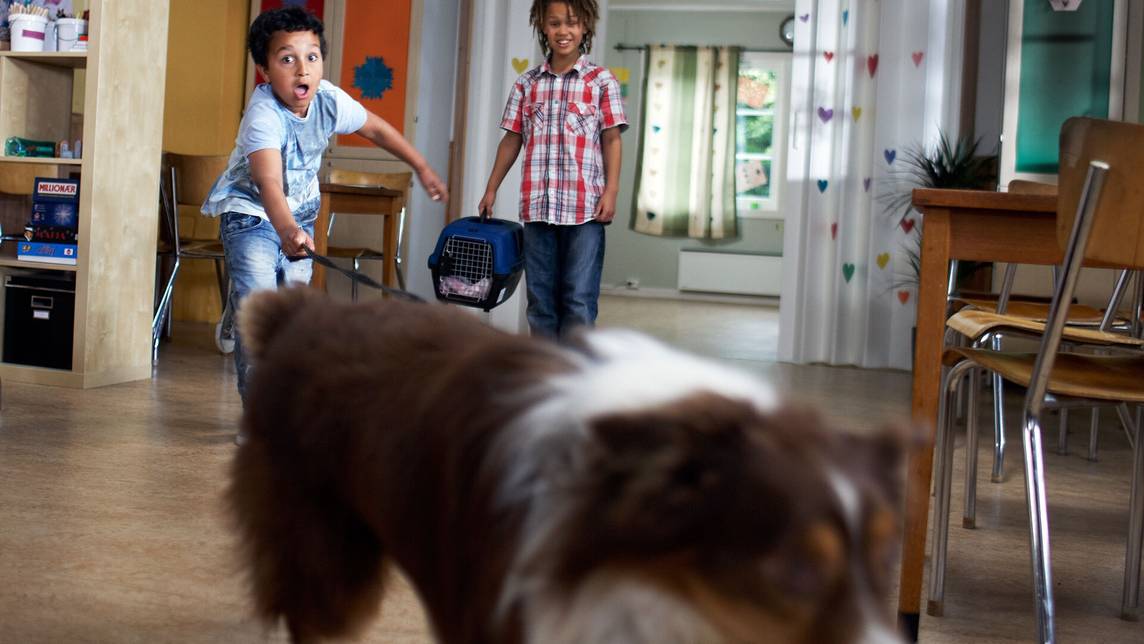 Världens bästa fritids – Fixarkväll | SVT Play