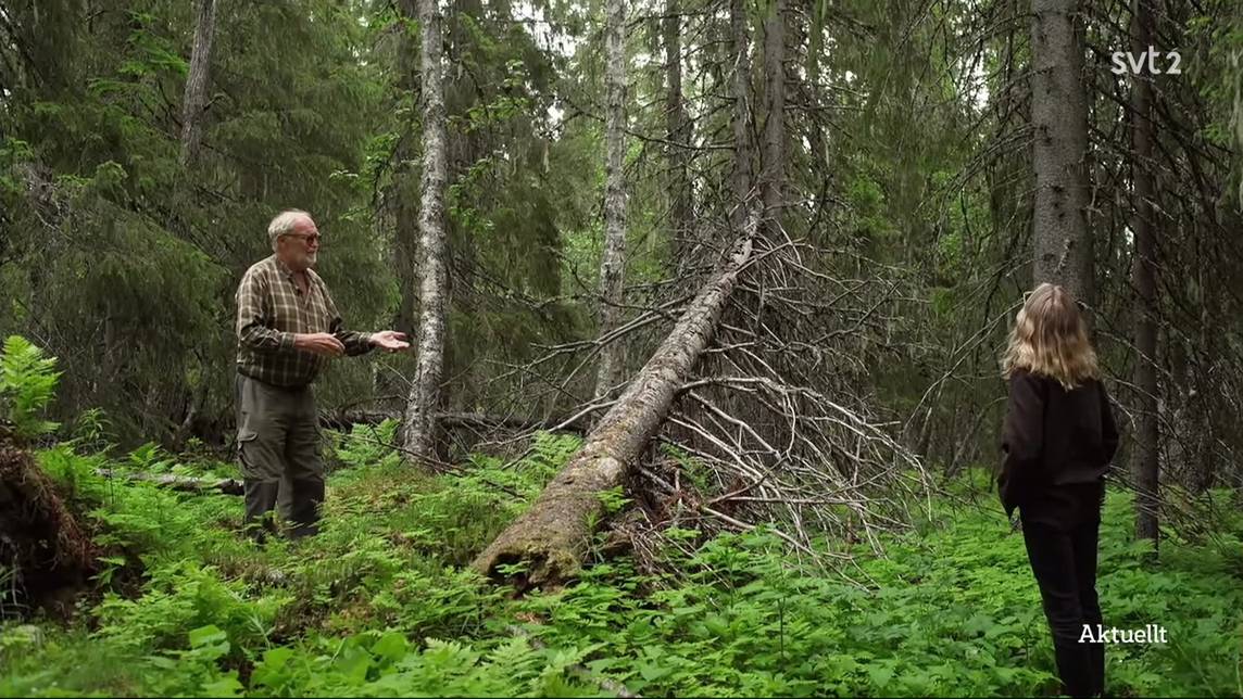 Aktuellt – Avsnitt 23 | SVT Play