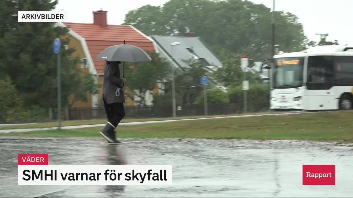 Rapport – Avsnitt 217 | SVT Play