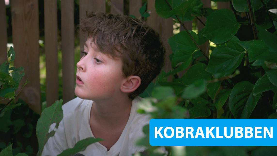 Killar – 7. Kobraklubben - Hugo | SVT Play