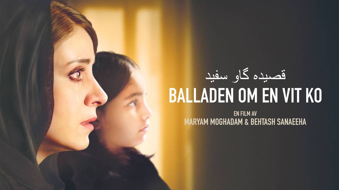 Balladen om en vit ko | SVT Play