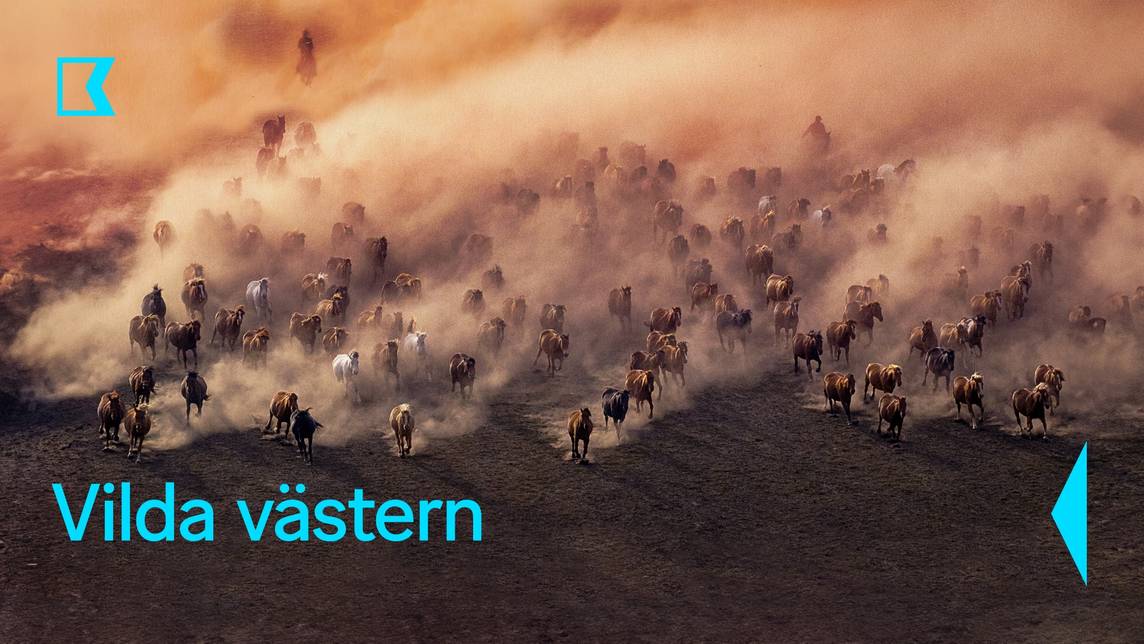 Vilda västern | SVT Play