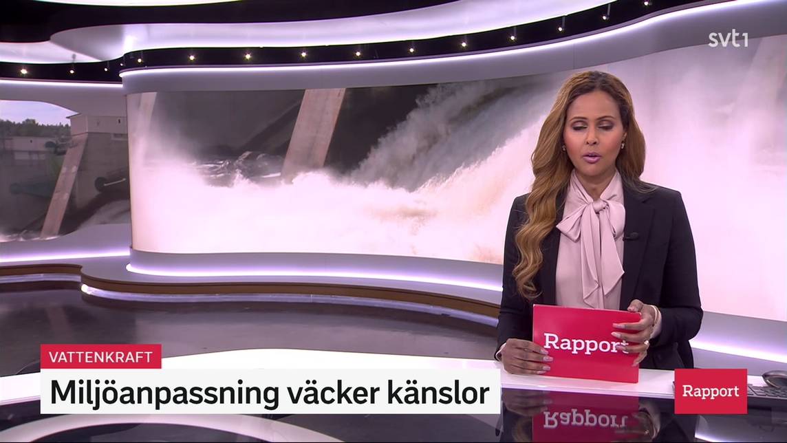 Rapport – Avsnitt 2 | SVT Play