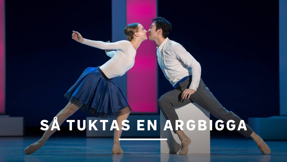 Så tuktas en argbigga | SVT Play