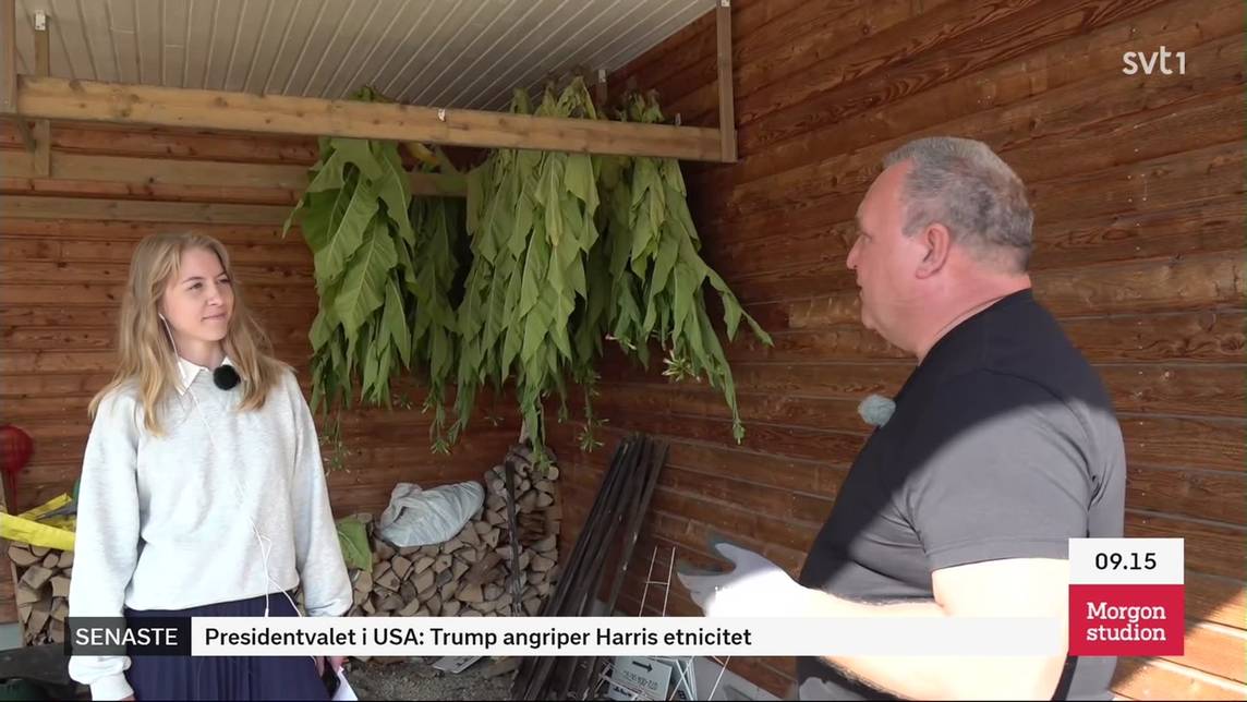 Morgonstudion – Avsnitt 153 | SVT Play