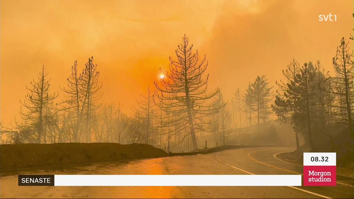 Rapport – Avsnitt 180 | SVT Play