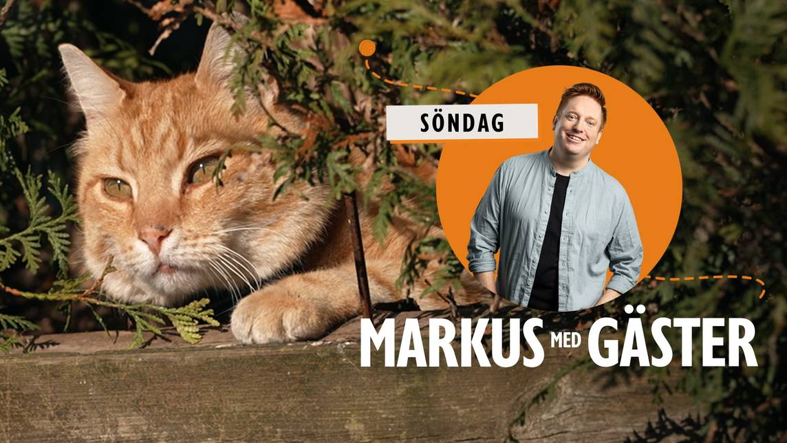 En helg med Luffar-Lasse – En helg med Luffar-Lasse | SVT Play