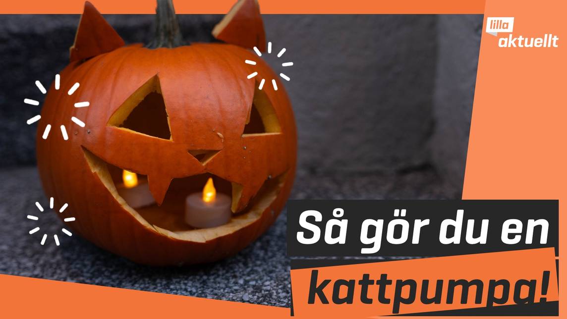 Lilla Aktuellt & Lilla Aktuellt skola – Halloween-pyssel: Karva en ...