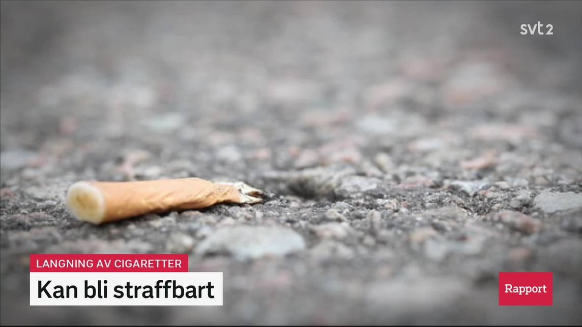 Rapport – Avsnitt 180 | SVT Play