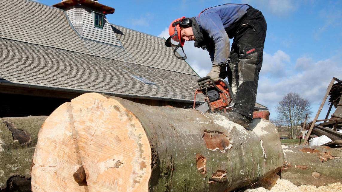 Hundra procent bonde – 7. Timmer och nytt ljus | SVT Play