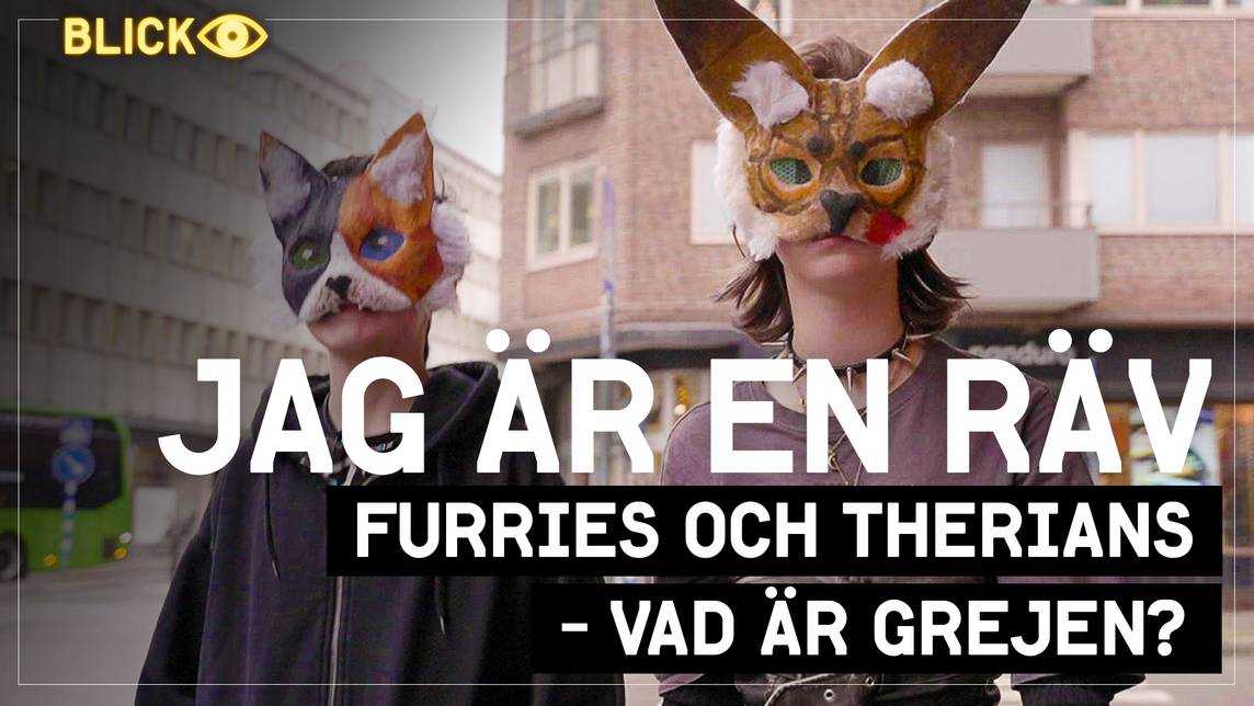 Blick – Jag är en räv | SVT Play