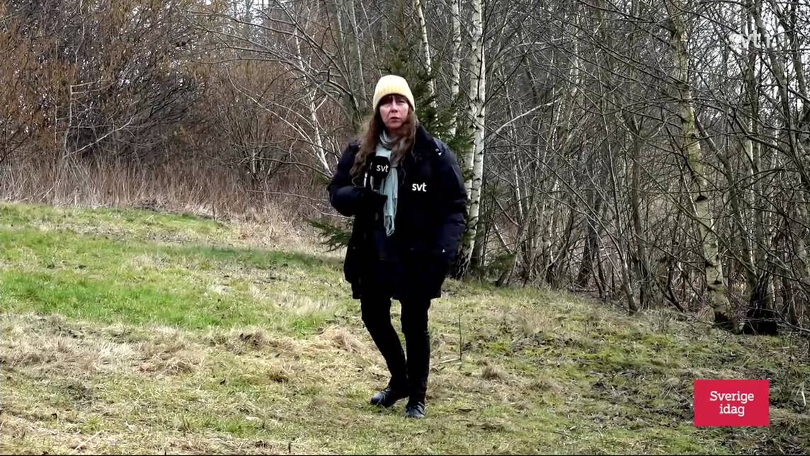 Sverige idag – Avsnitt 38 | SVT Play