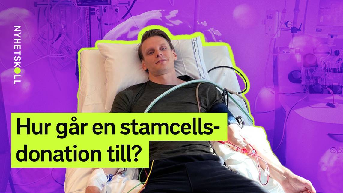 Nyhetskoll – Hur går det till att donera stamceller? | SVT Play