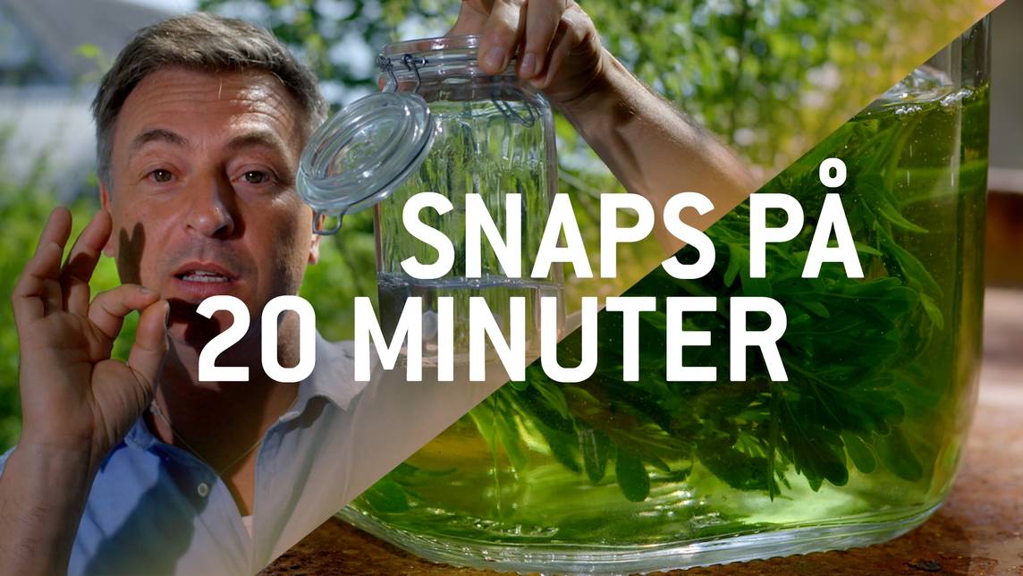 Maxa midsommar – 3. Snaps på 20 minuter | SVT Play