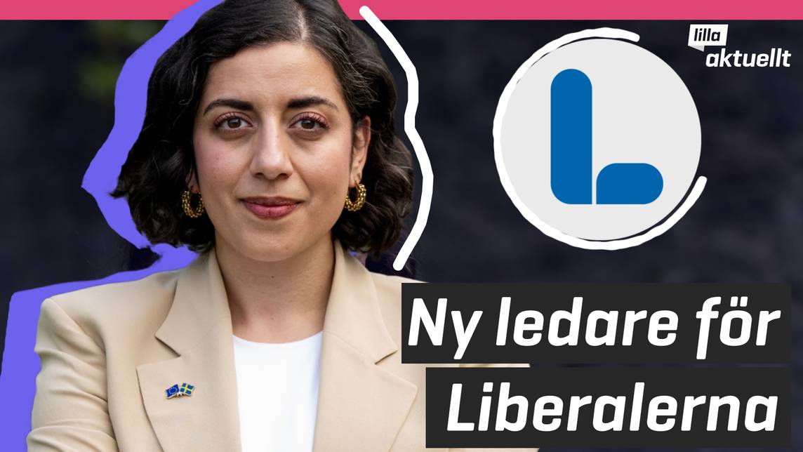 Lilla Aktuellt & Lilla Aktuellt skola – Partiet har fått ny ledare ...