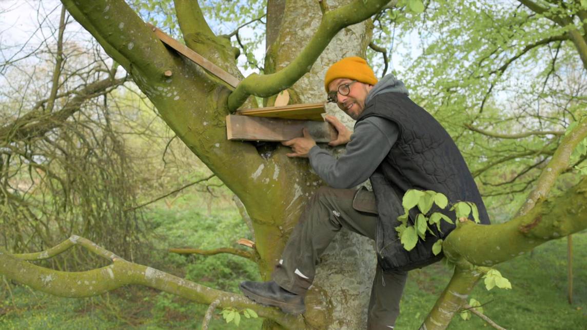 Trädgårdstips med Sören Vester – 1. Sittplats i träd | SVT Play