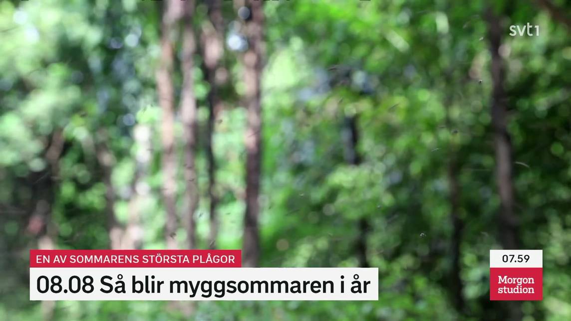 Väder – Avsnitt 23 | SVT Play