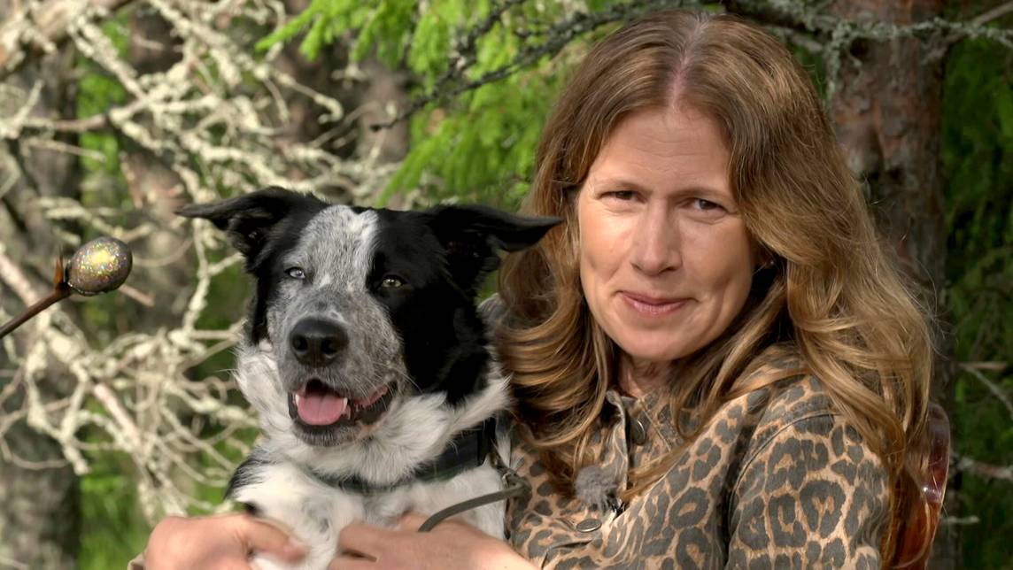 Studio natur – Hur bra ser en katt i mörker? | SVT Play