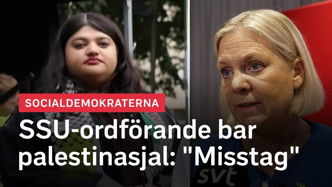 Rapport – SSU-ordförande Moska Hassas pudlar om kritiserad sjal | SVT Play